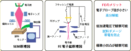 電界放出型走査型電子顕微鏡 FE-SEM (Field Emission Scanning Electron Microscope)